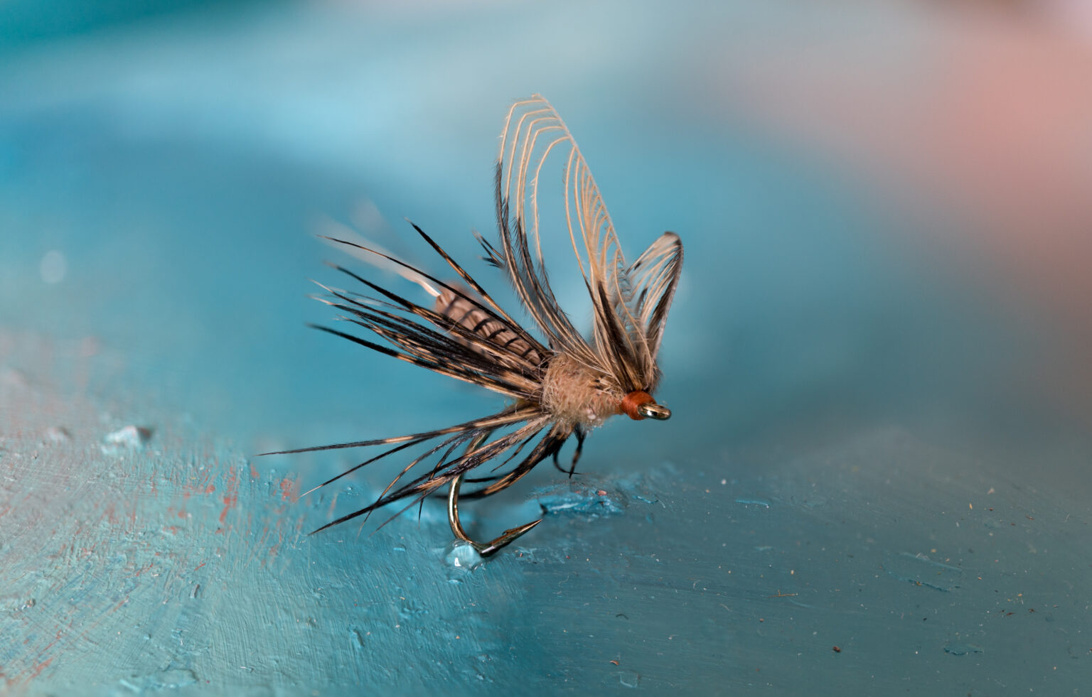 Skinning and Preserving Bird Skins for Memories and Fly Tying