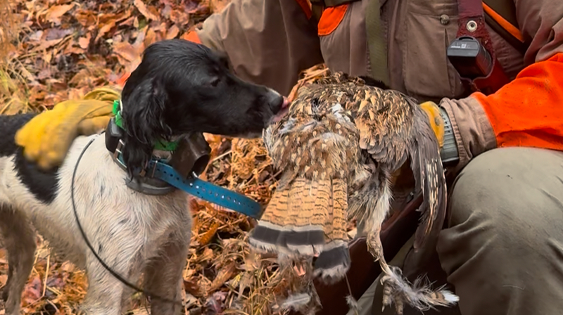 Member Spotlight: Tom Mcpherson